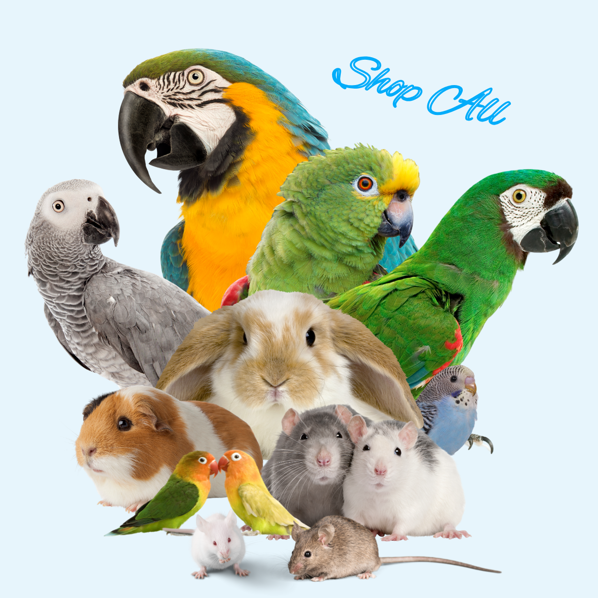 Shop All – Pixie Paws Pets