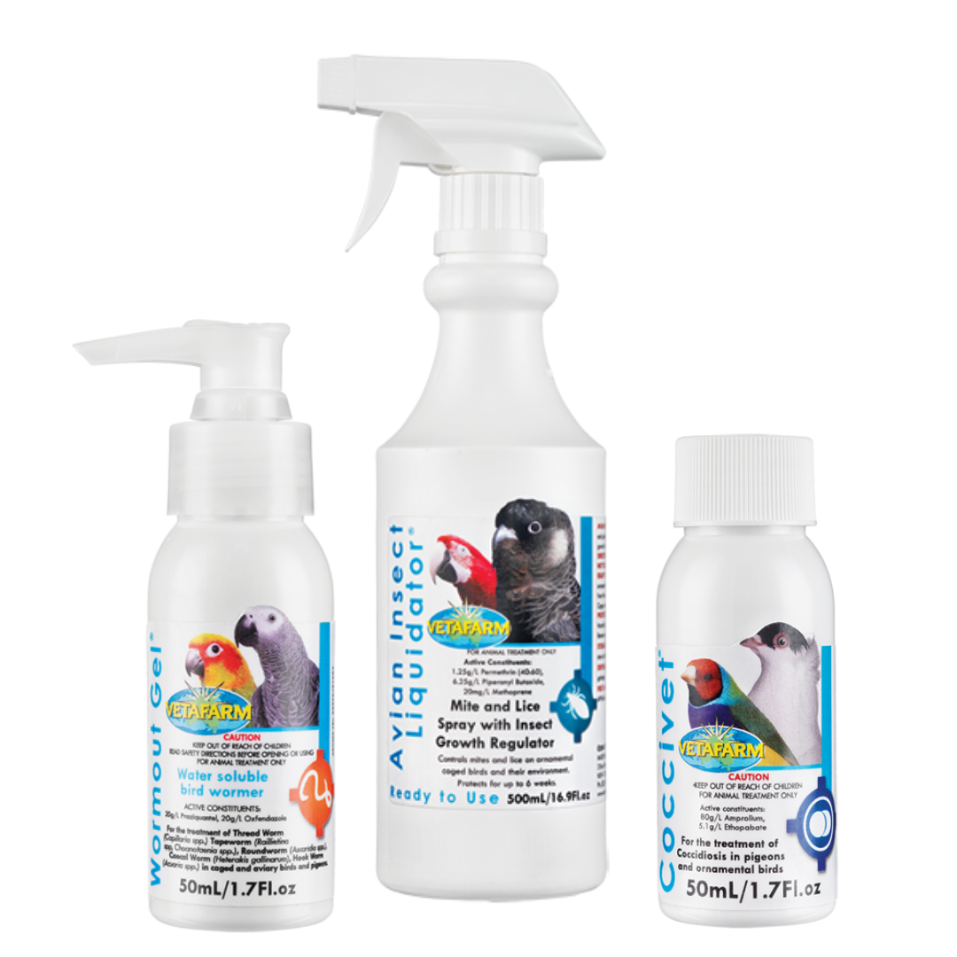 Bird Health – Pixie Paws Pets