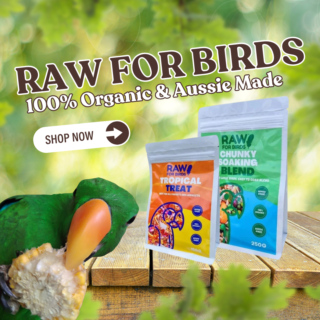 Raw for Birds – Pixie Paws Pets