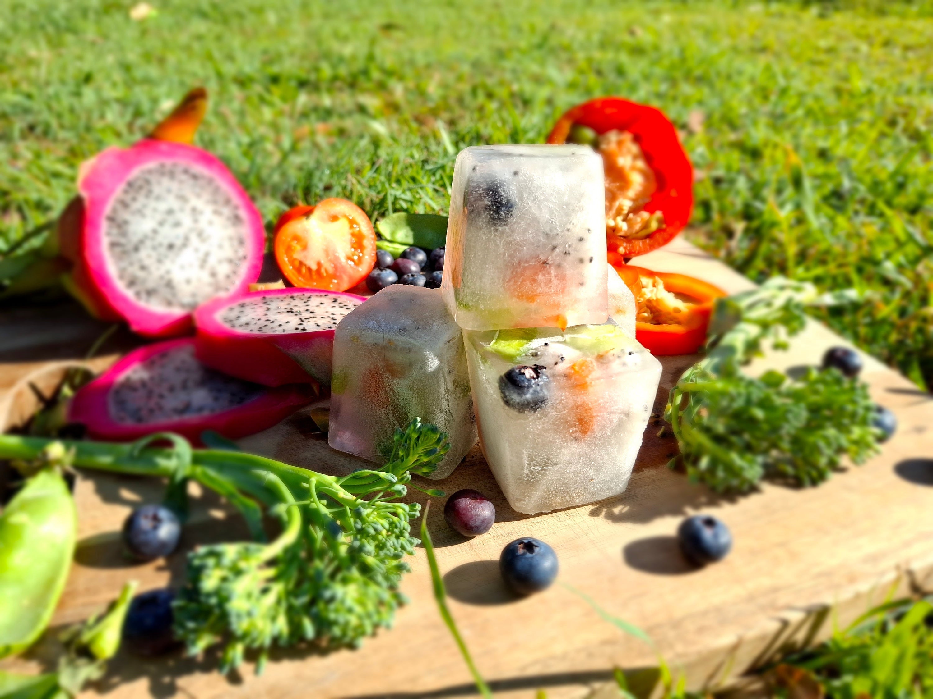 Cool Down Your Parrot: DIY Birdie Chop Pops for Summer Hydration 🌞🦜 ...