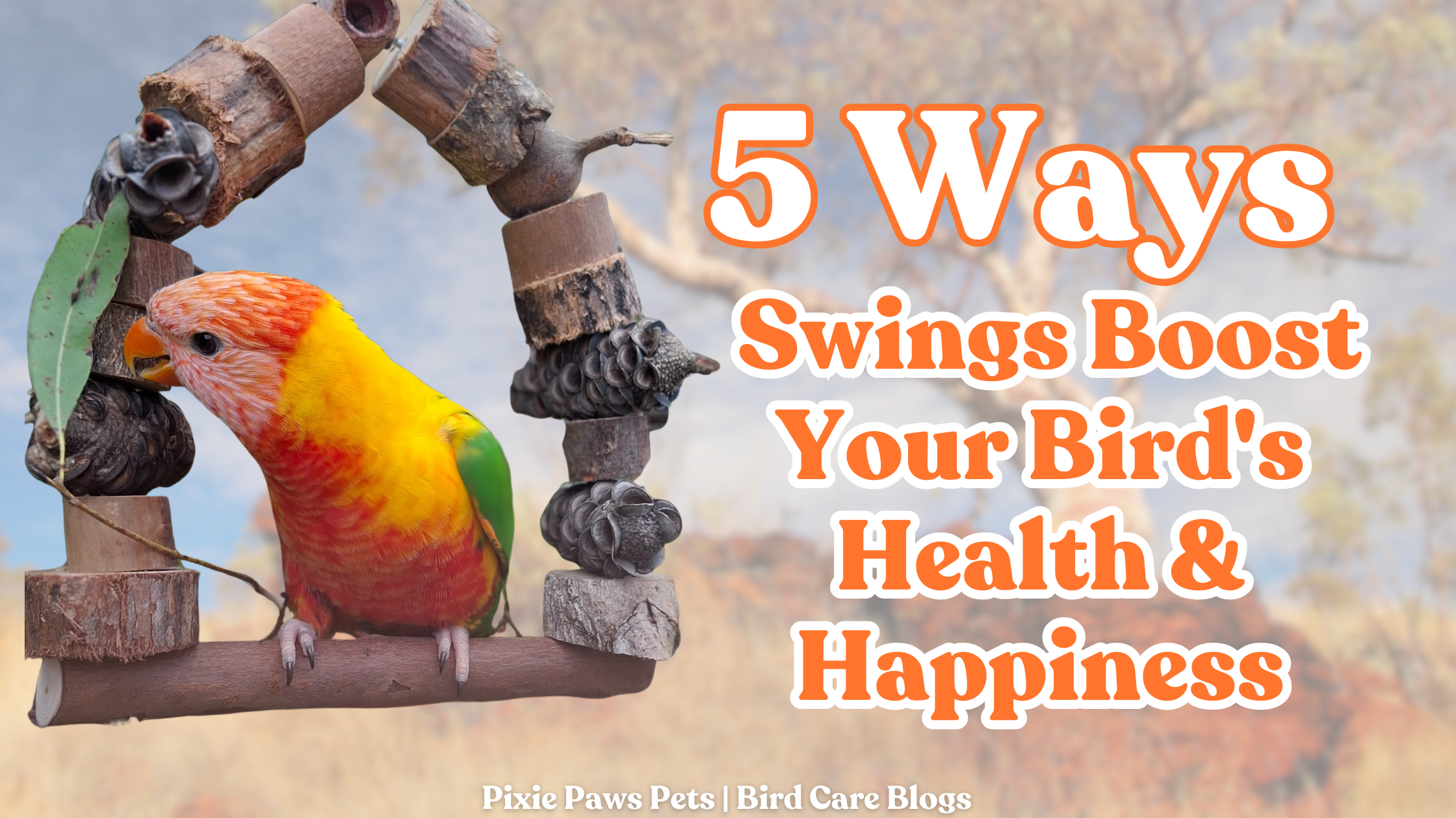 5 Ways Swings Boost Your Bird's Health & Happiness 🦜 – Pixie Paws Pets