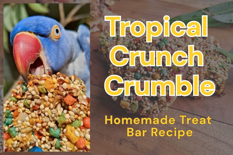 Tropical Crunch Crumbles – Homemade Treat Bar Recipe – Pixie Paws Pets