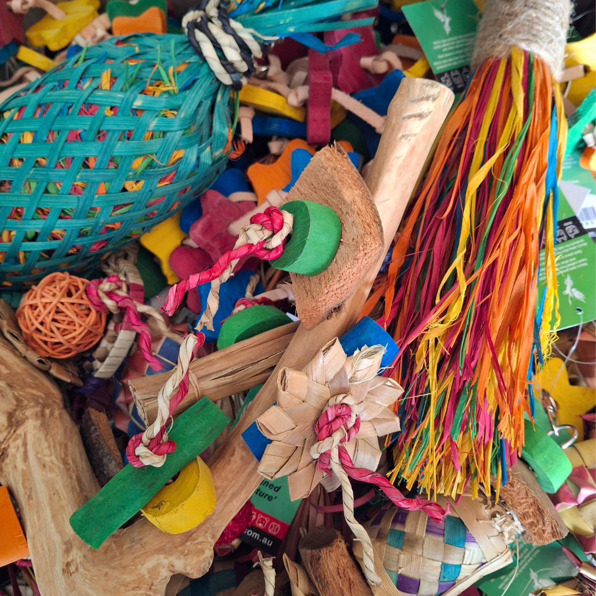 Pixie Paws Pets | Bird Shop | Aussie Owned | Afterpay & Klarna