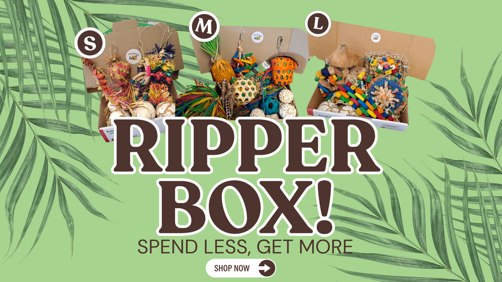 Pixie Paws Pets | Bird Shop | Aussie Owned | Afterpay & Klarna