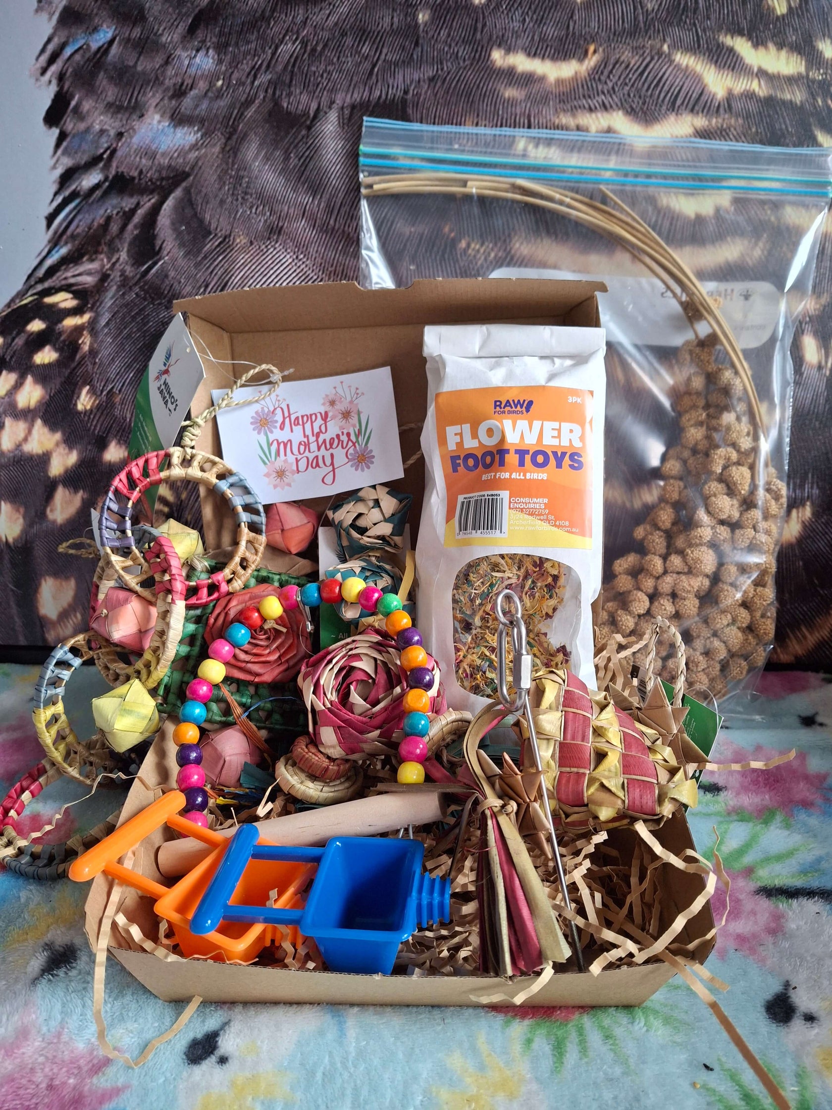 Pixie Paws Pets | Bird Shop | Parrot Ripper Box | Aussie Owned