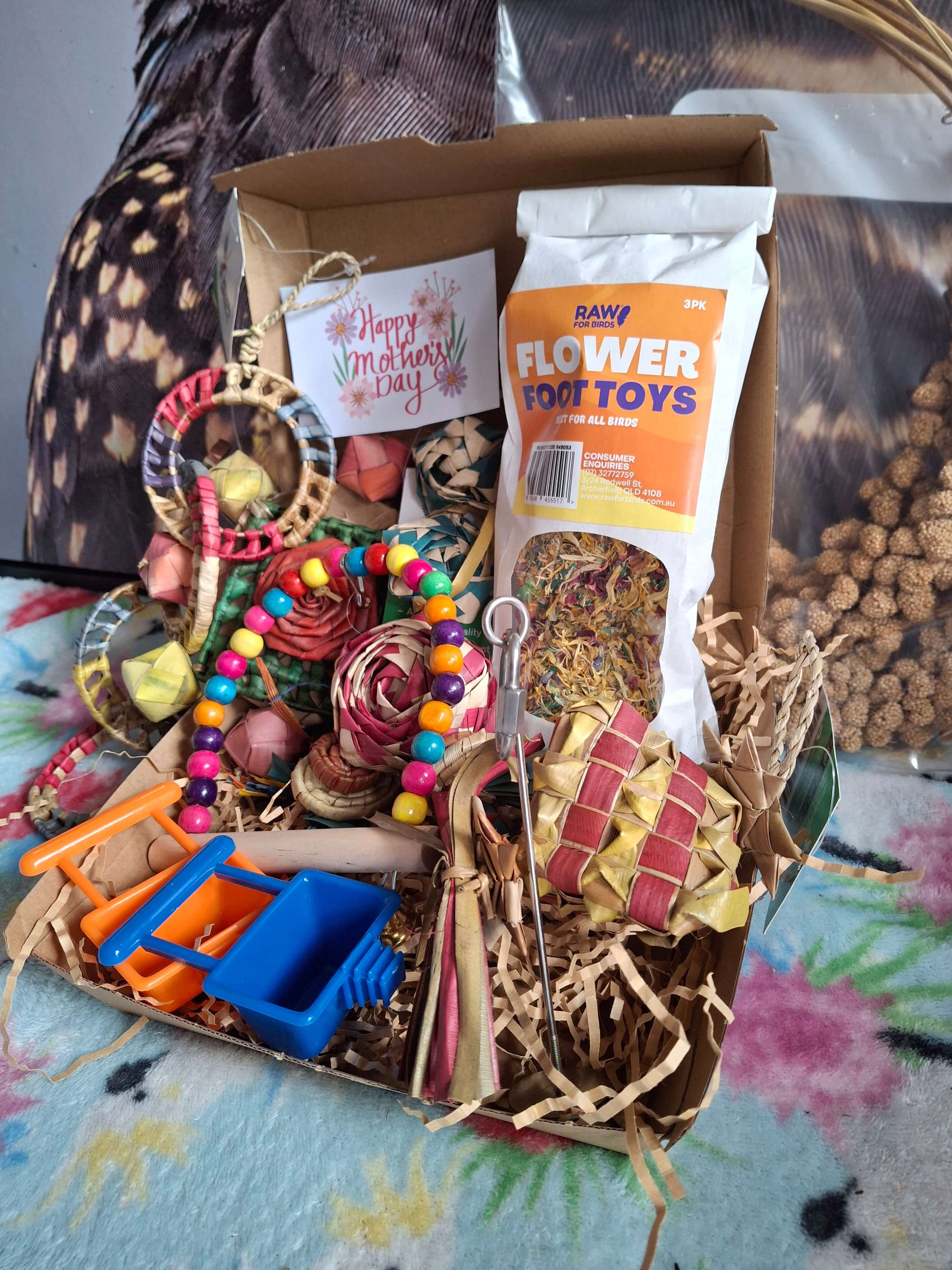 Pixie Paws Pets | Bird Shop | Parrot Ripper Box | Aussie Owned