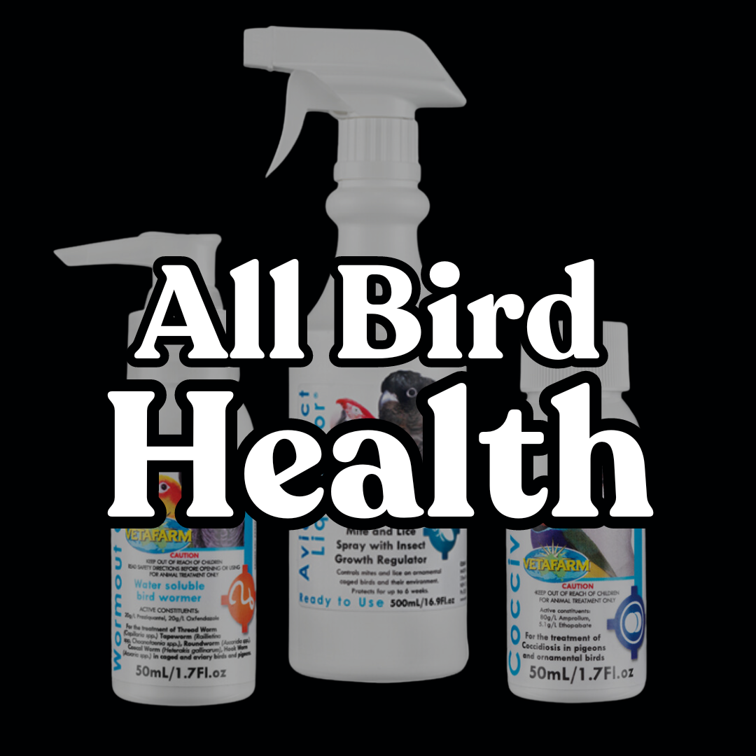 Pixie Paws Pets | Bird Shop | Aussie Owned | Afterpay & Klarna