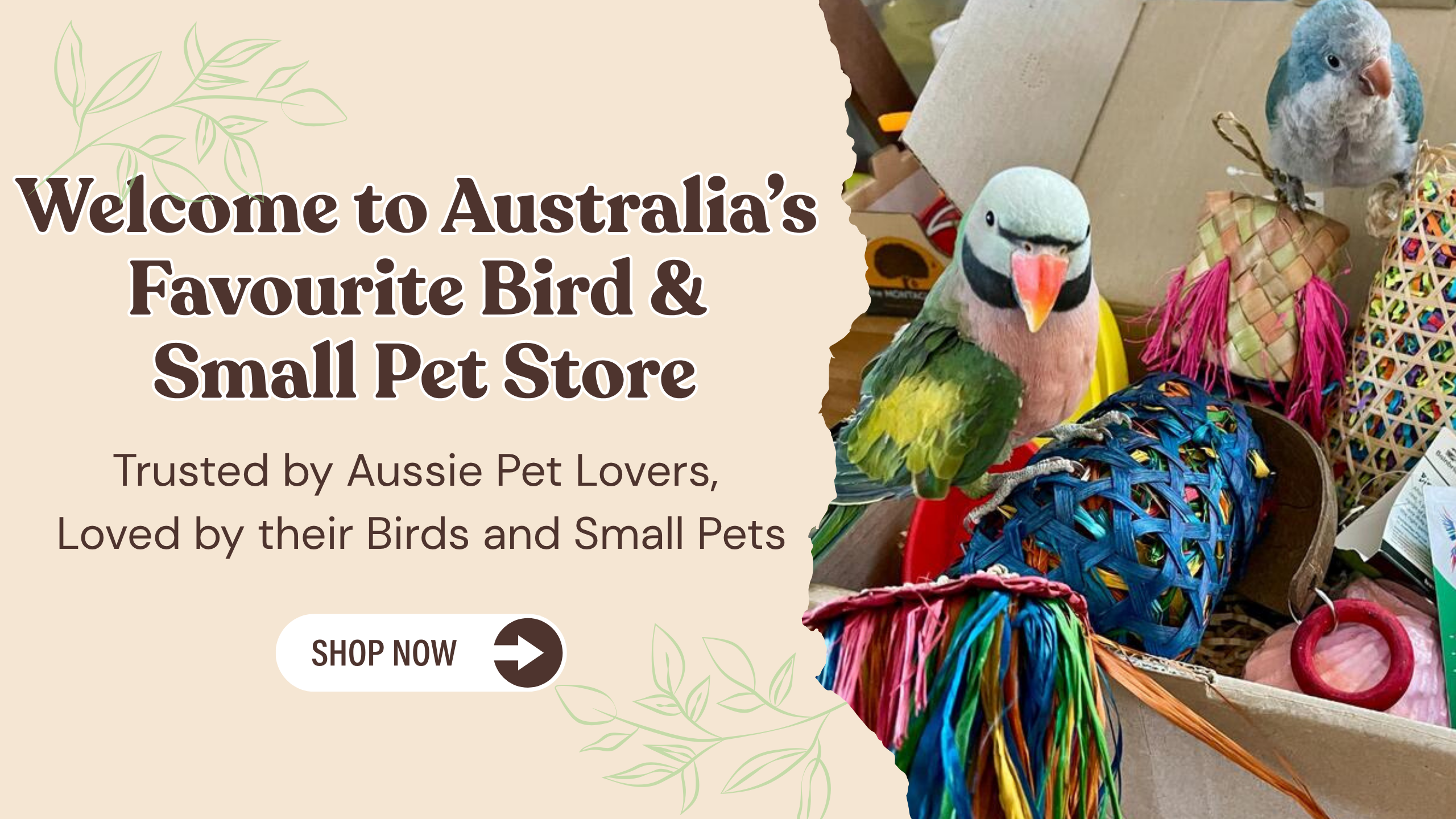 Pixie Paws Pets | Bird Shop | Aussie Owned | Afterpay & Klarna