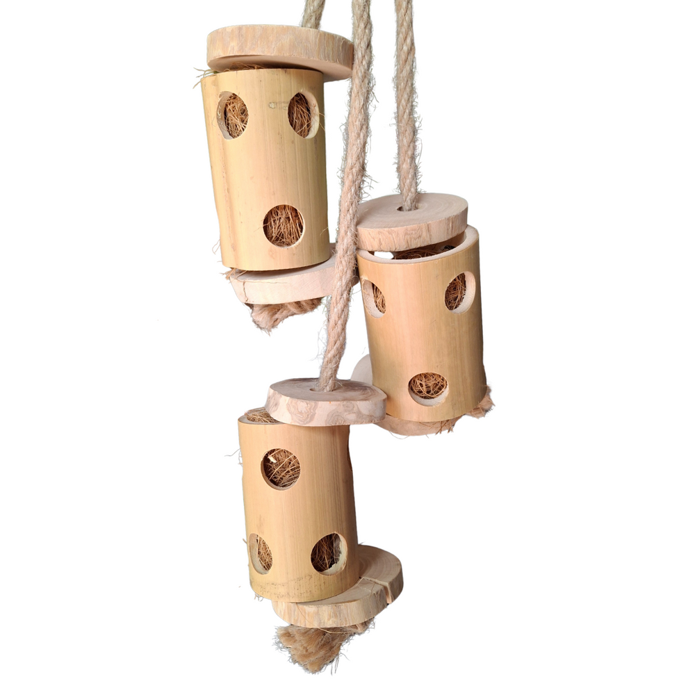 Beak Joy Bamboo Climber – Pixie Paws Pets