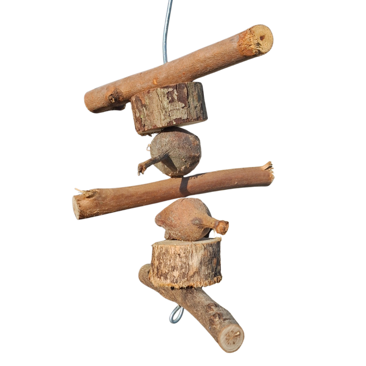 Birdnerd Aussie Budgie Climber – Pixie Paws Pets