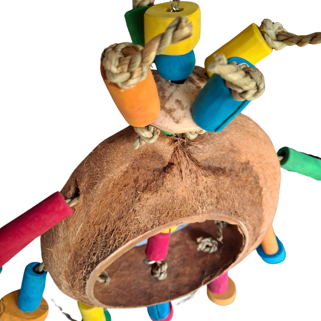 Coco Java Wheel – Pixie Paws Pets