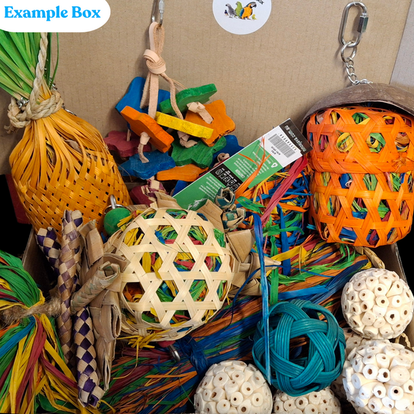 Medium Parrot Ripper Box – Pixie Paws Pets