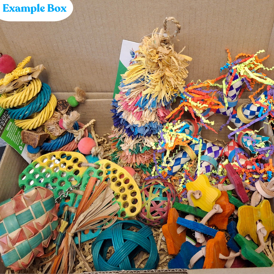 Pixie Paws Pets - Birds and Small Pets Supply Store