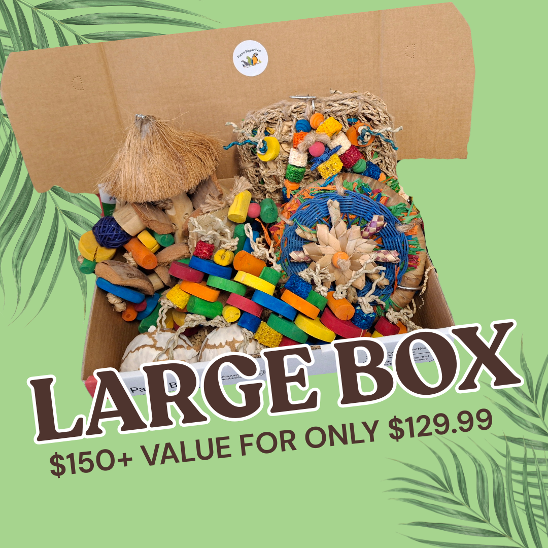 Large Parrot Ripper Box – Pixie Paws Pets