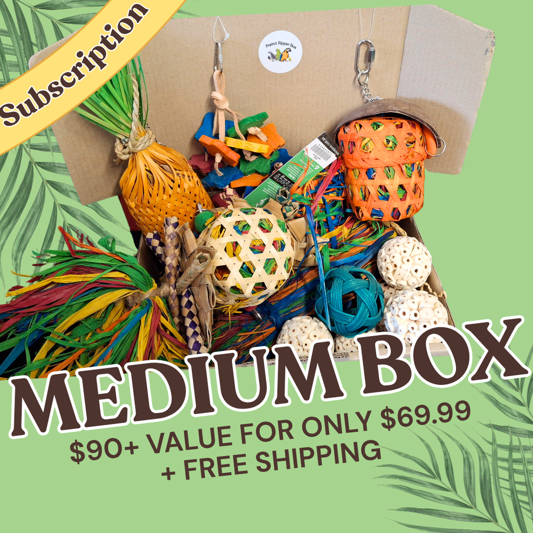 Medium Bird Toys – Pixie Paws Pets