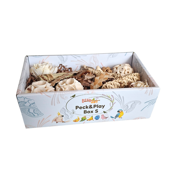 Beak Joy Peck n Play Forage Box – Pixie Paws Pets