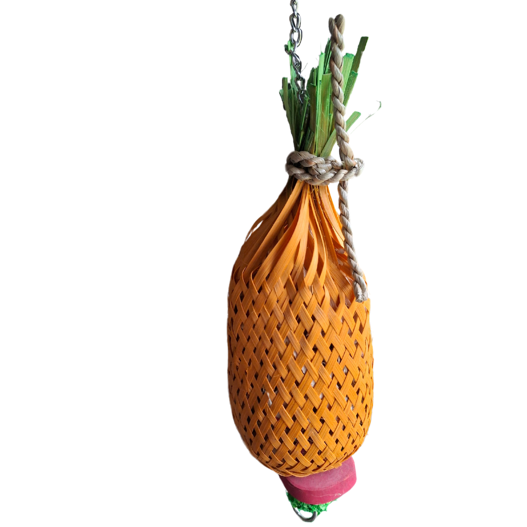 Stuffed Pineapple Forager – Pixie Paws Pets