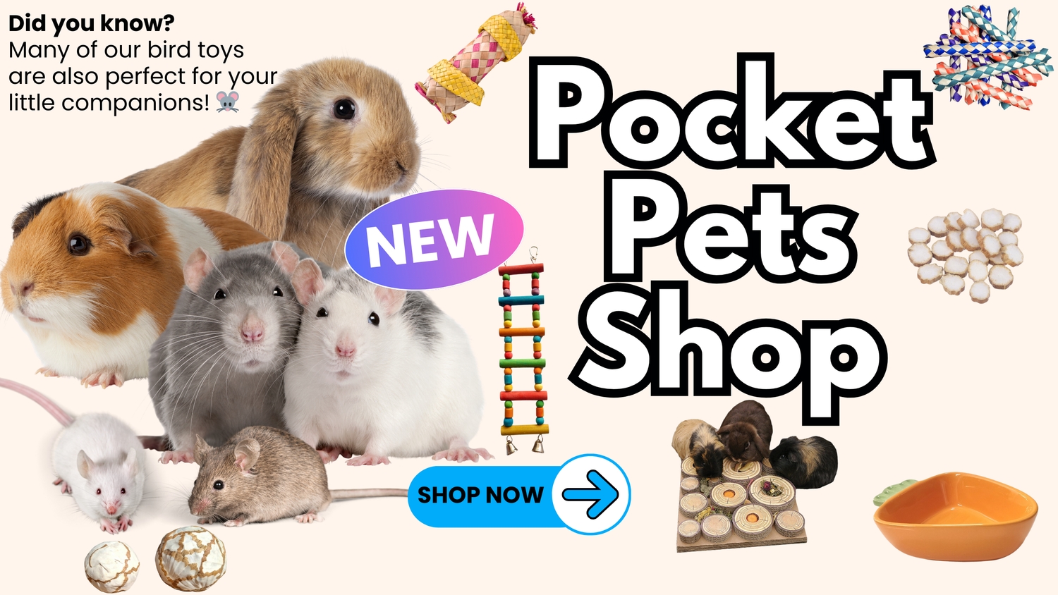 Pixie Paws Pets | Bird Shop | Aussie Owned | Afterpay & Klarna