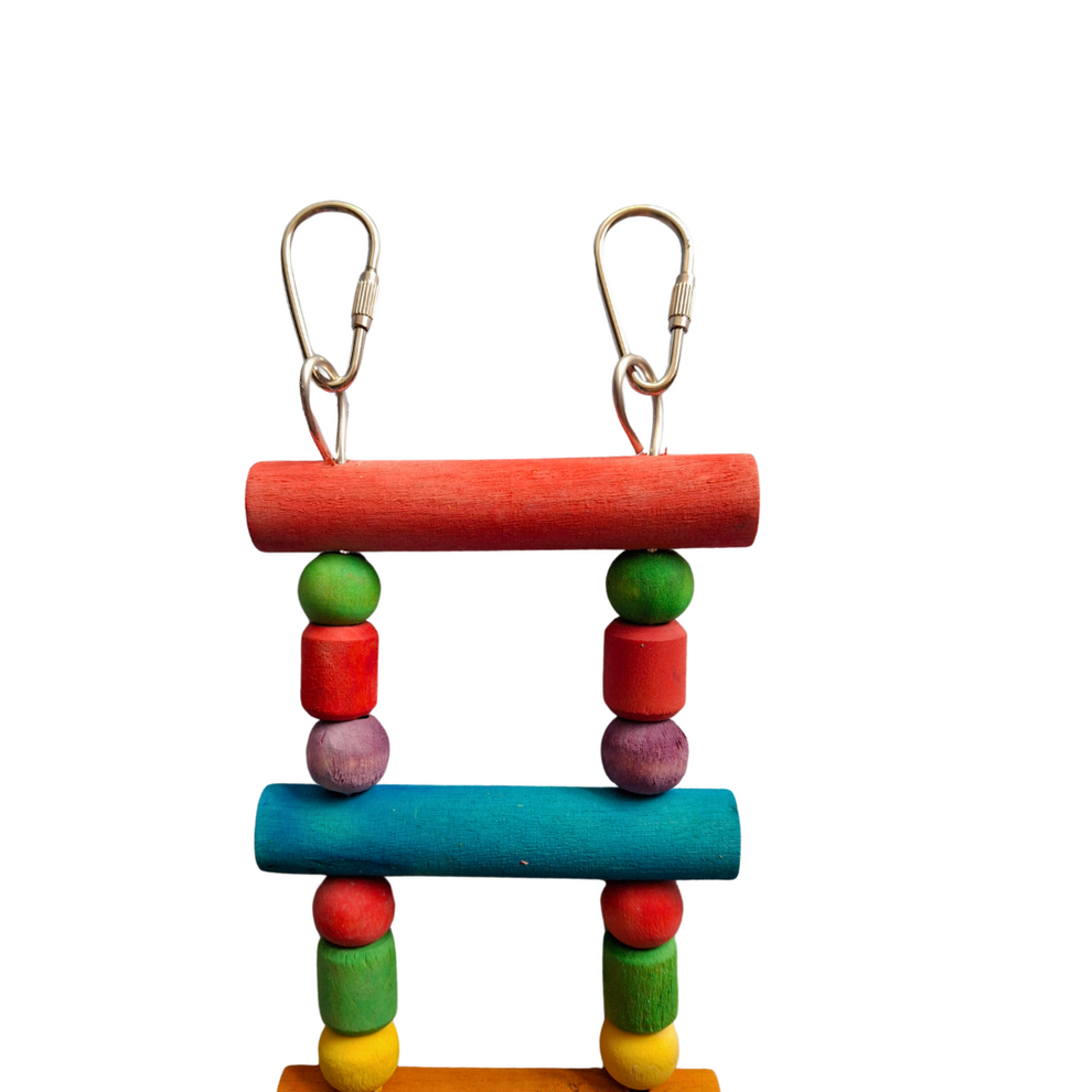Wooden Rainbow Ladder – Pixie Paws Pets