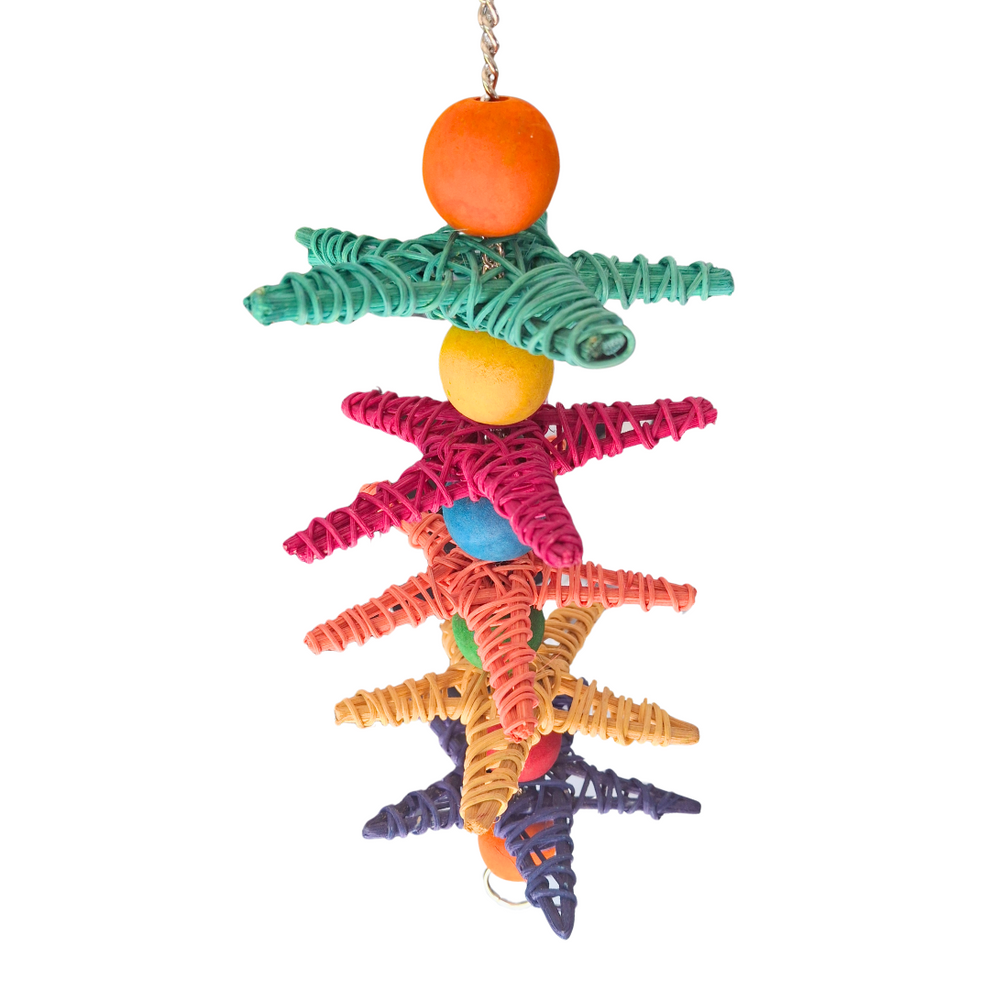 Star Gazer Nibbler – Pixie Paws Pets