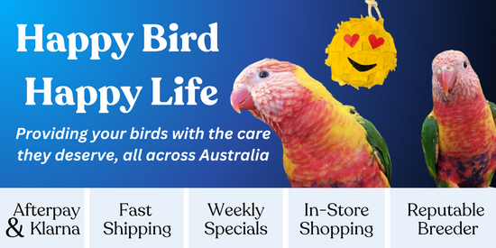 Pixie Paws Pets | Bird Shop | Aussie Owned | Afterpay & Klarna