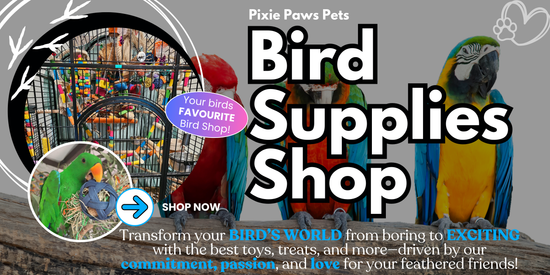 Pixie Paws Pets | Bird Shop | Aussie Owned | Afterpay & Klarna
