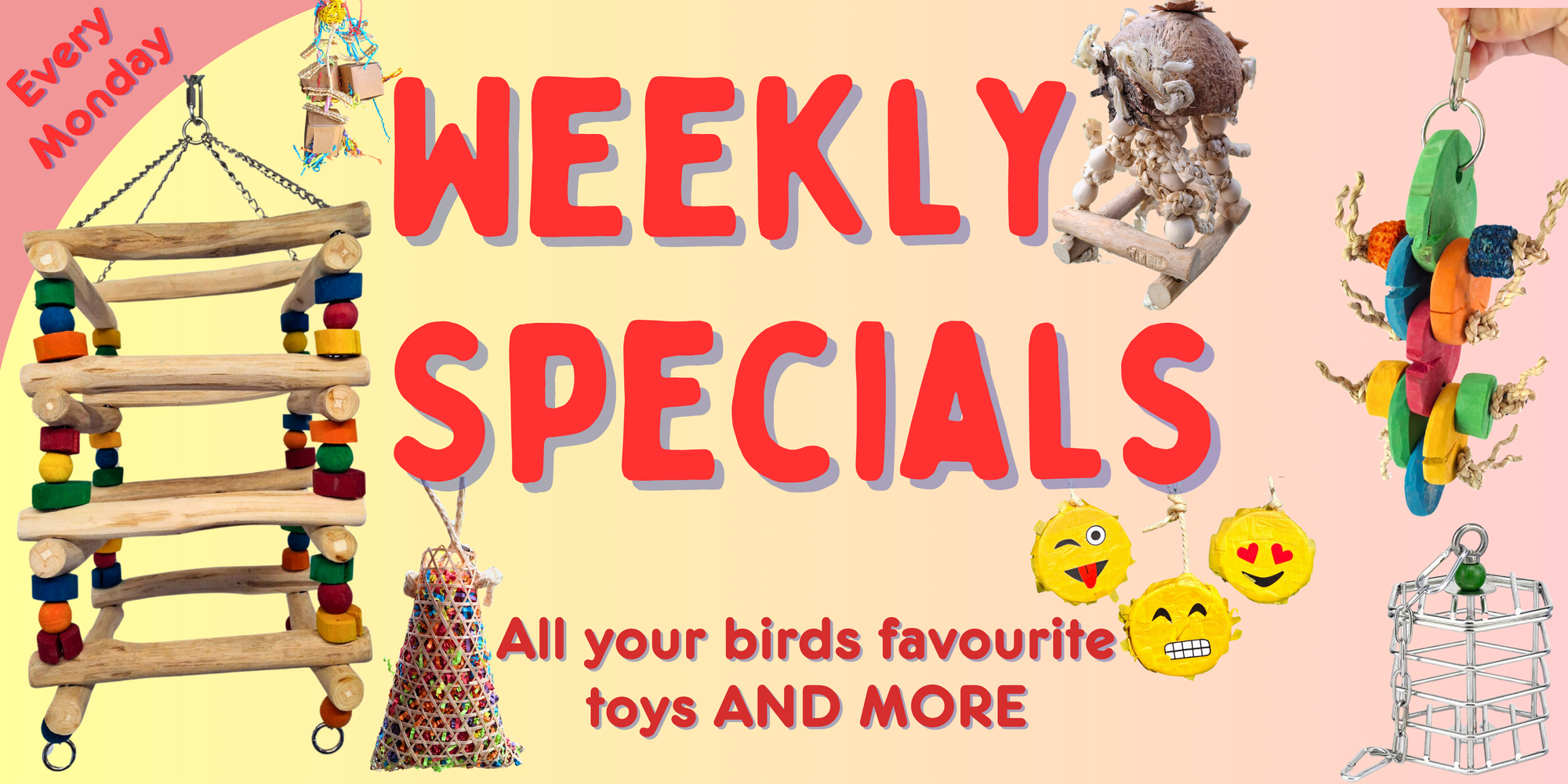Pixie Paws Pets | Bird Shop | Aussie Owned | Afterpay & Klarna